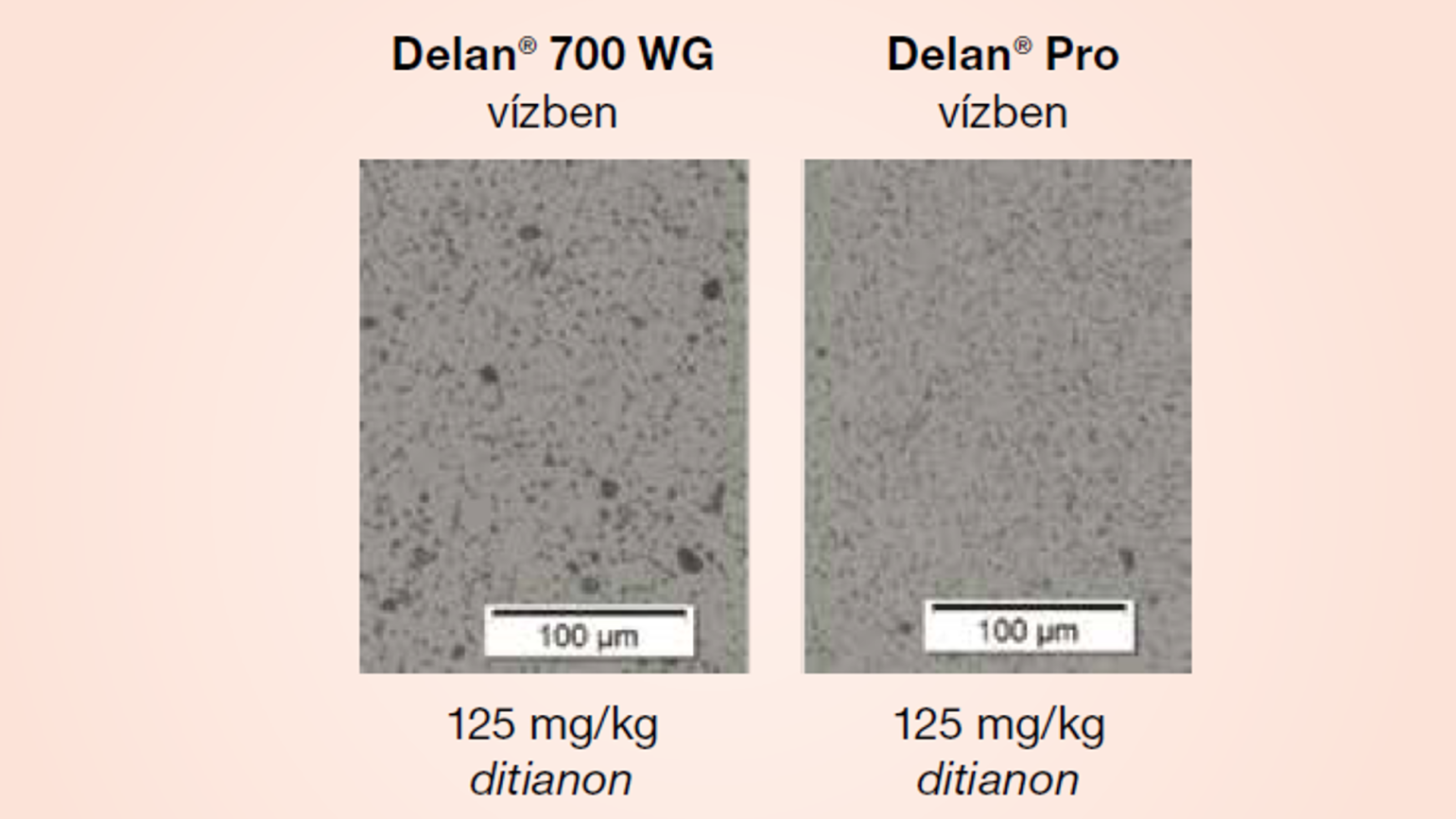 2017 - Delan® Pro – megnövelt fungicidhatás immunerősítővel kiegészítve ...