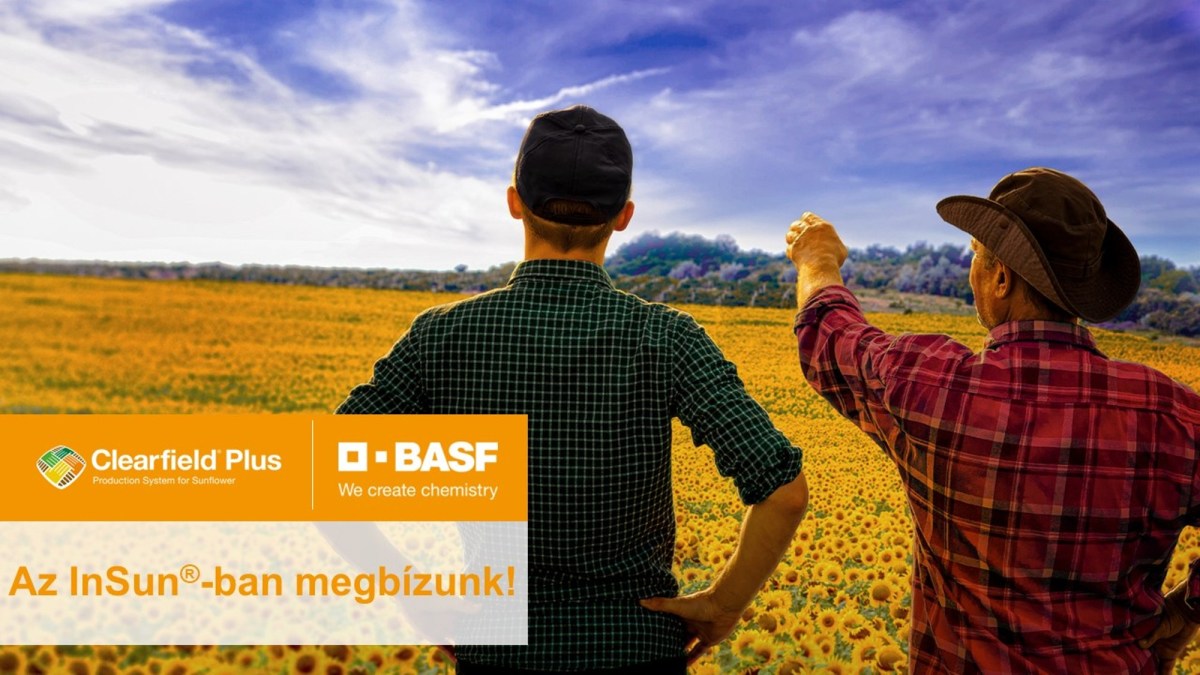 InSun® Napraforgó vetőmagok