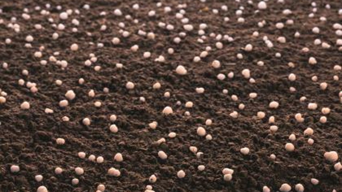 LIMUS® Perform - BASF Mezőgazdasági Megoldások Magyarország